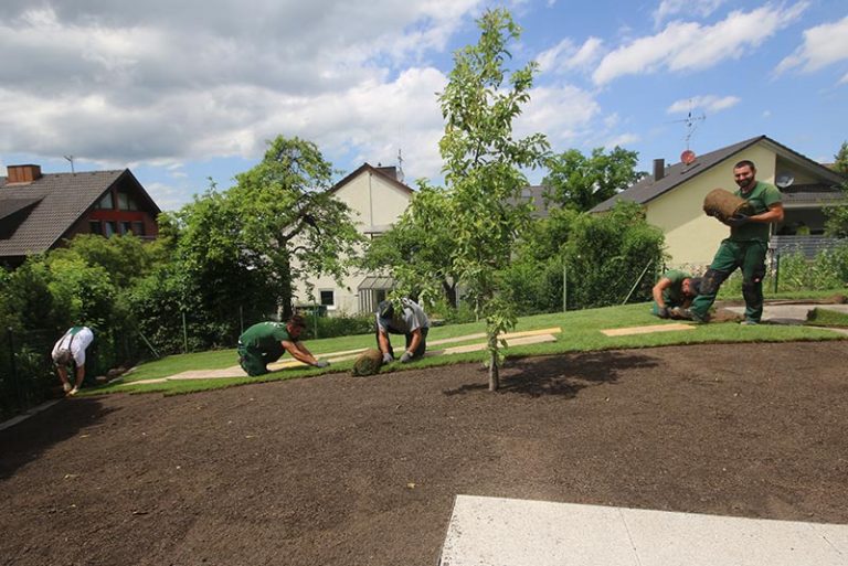 ERDEN & SUBSTRATE - Link Mannheim